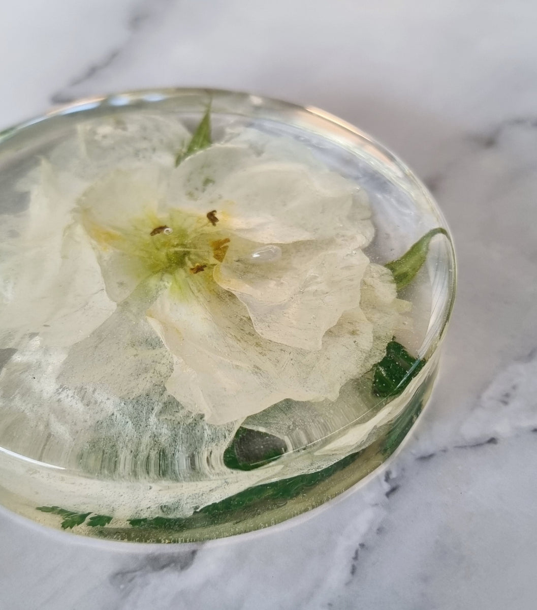 Deep Circle Coaster – Resin & Me Designs